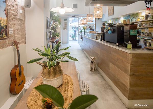 Lilo Brunch Specialty Coffee