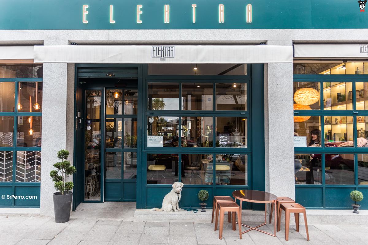 ELEKTRA Madrid | SrPerro.com, la guía para animales urbanos.