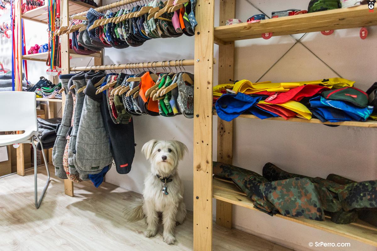 Caninetto | SrPerro, la guía para animales urbanos.