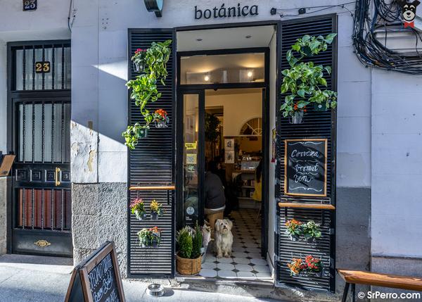 Botánica