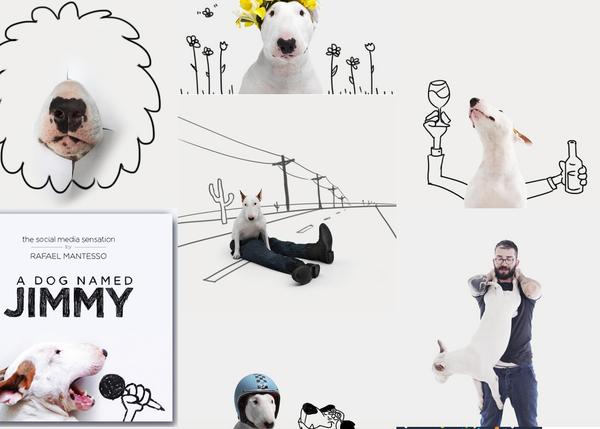 El Bull Terrier con más arte de instagram estrena libro: "A Dog Named ...