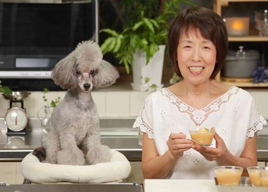 "Cocinando con perro" un canal de youtube tan friki como perruno y práctico