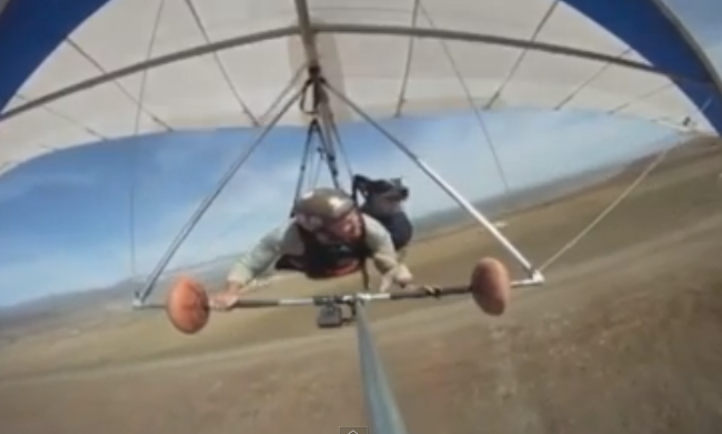 Shadow, el perro volador: o cómo los canes son más felices con sus ...