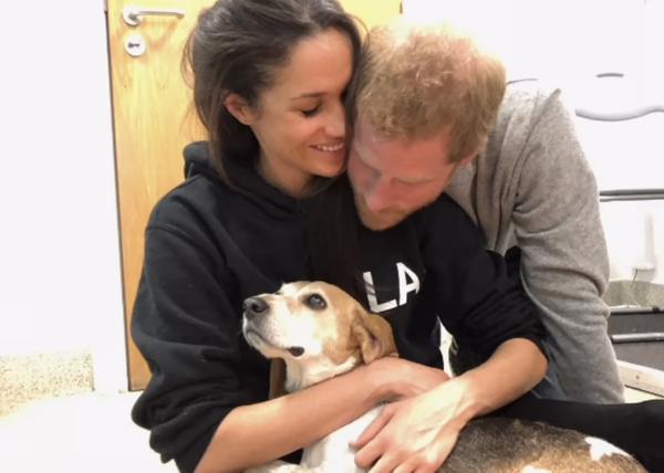 El bello homenaje de despedida de Meghan Markle a su perro, Guy, "su ...