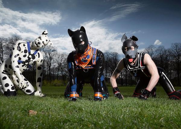 Un documental se adentra en las vidas de los perros humanos o los ...