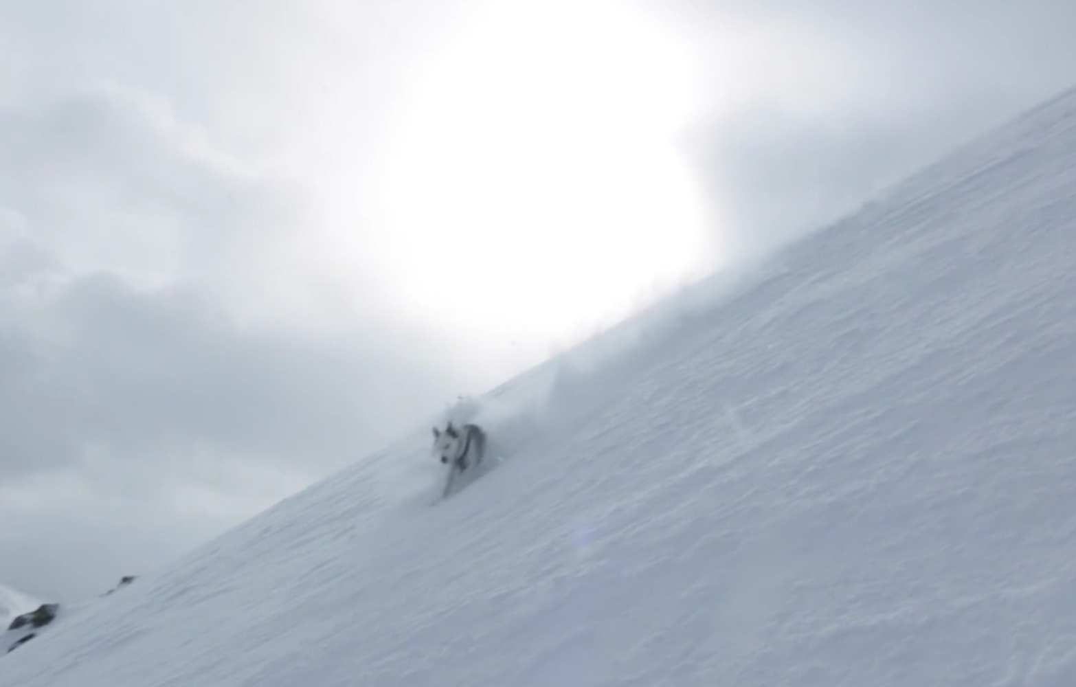 Snowboarding con perro: espectaculares imágenes de un deportista y su ...