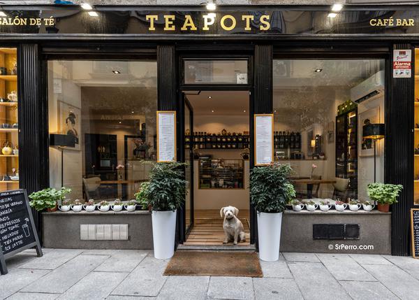 La hora del té con tu perro en Madrid: locales dog friendly donde tomar ...
