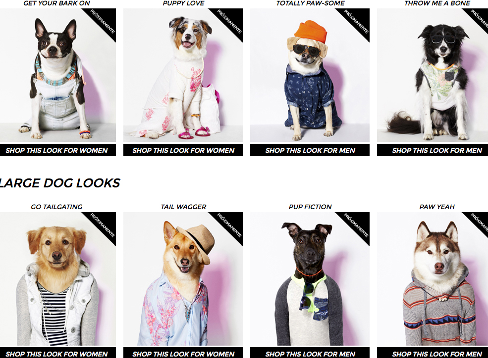 ¿Inocentada o realidad? La gran campaña de marketing perruno de ...