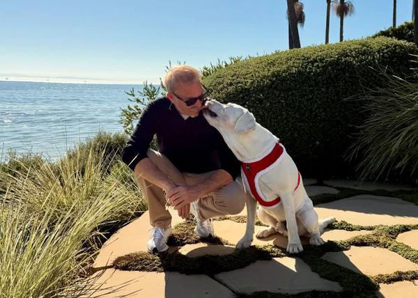 El Labrador de Kevin Costner es un actorazo que demuestra... ¡¡el arte ...