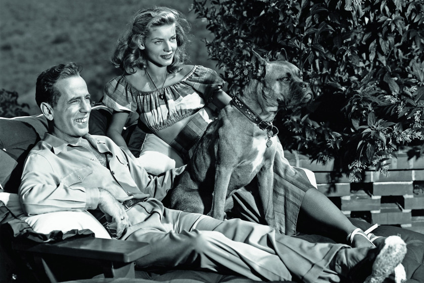 Hollywood Dogs: icónicas fotografías de las estrellas del cine con sus ...
